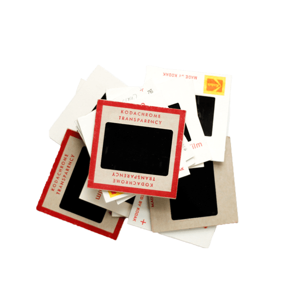 Are photo scanning mobile apps good enough for family photos? Our guide ...