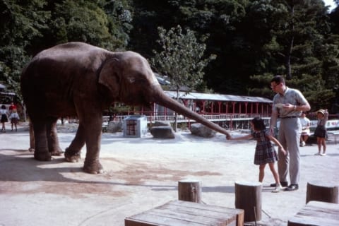 Slides to Print | The Best Way to Print Photos from Slides