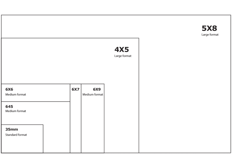 Negatives to Digital & Prints: Our Ultimate Guide