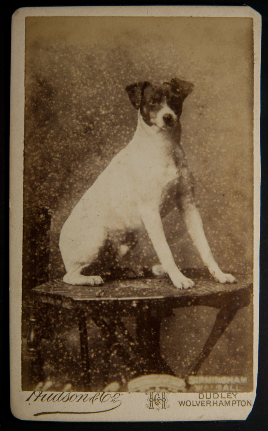 How to tell the age of your print photos