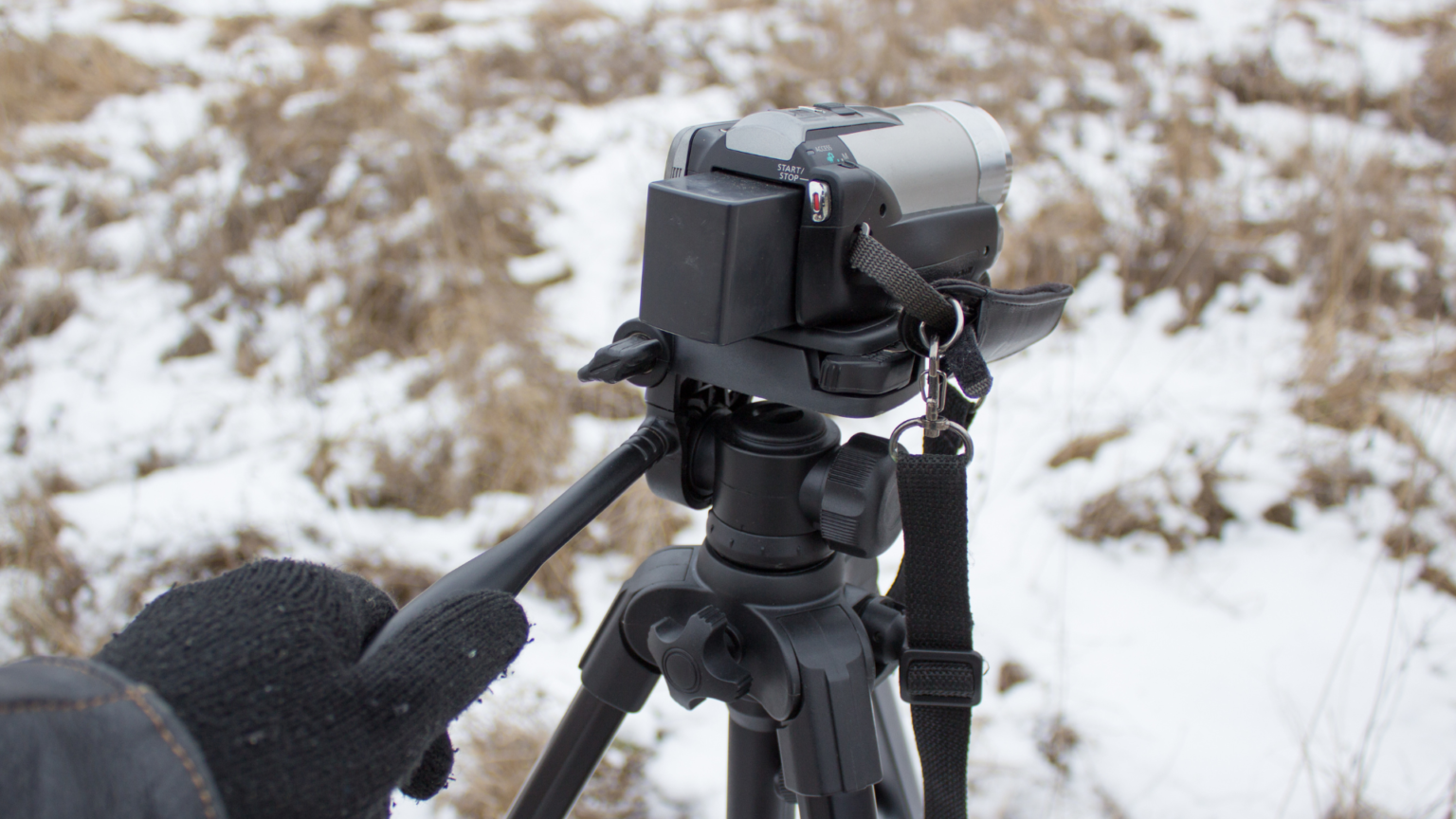 Digital8 vs Hi8 vs Video8 Camcorders | EverPresent