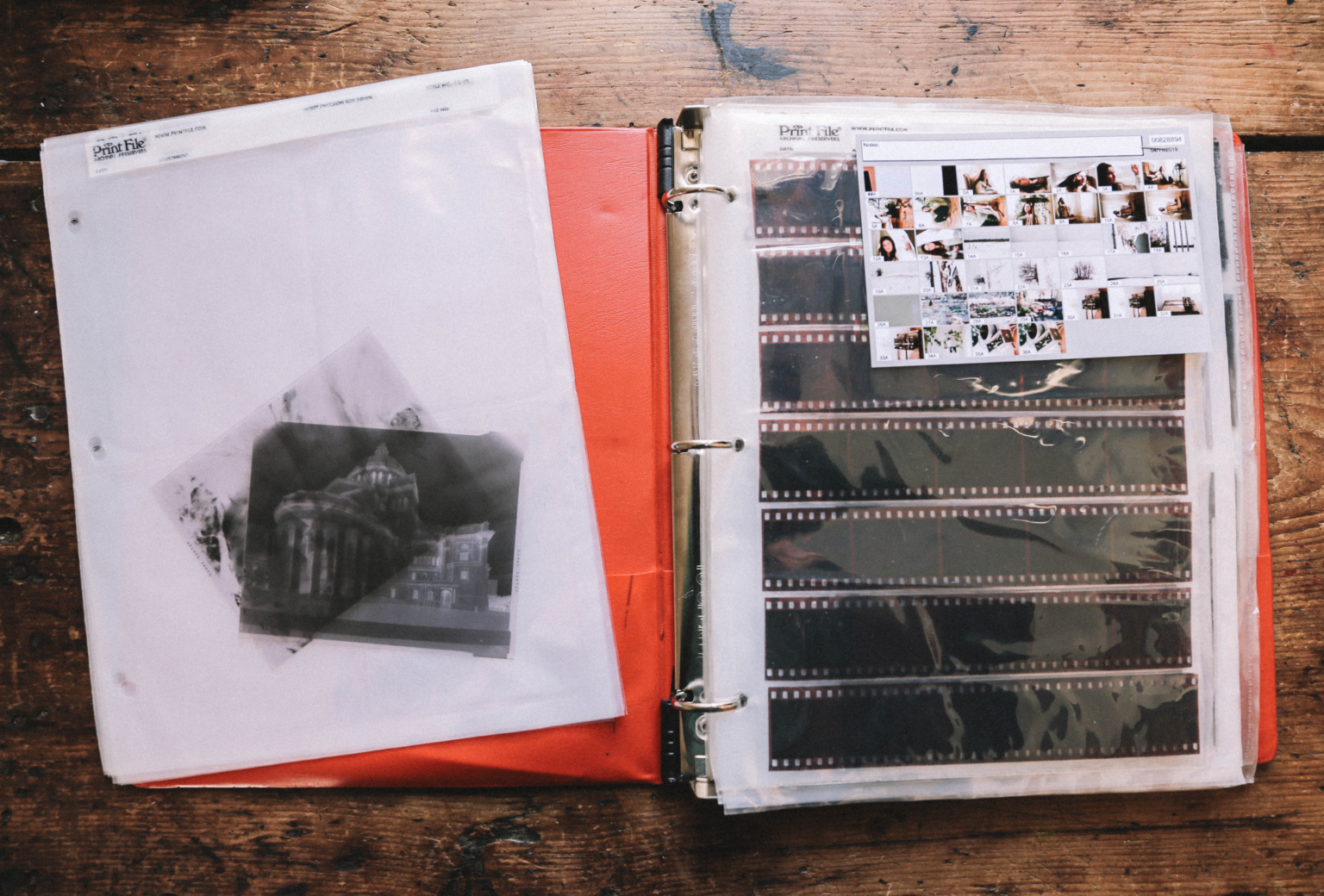 What Are Film Negatives? A Guide | EverPresent