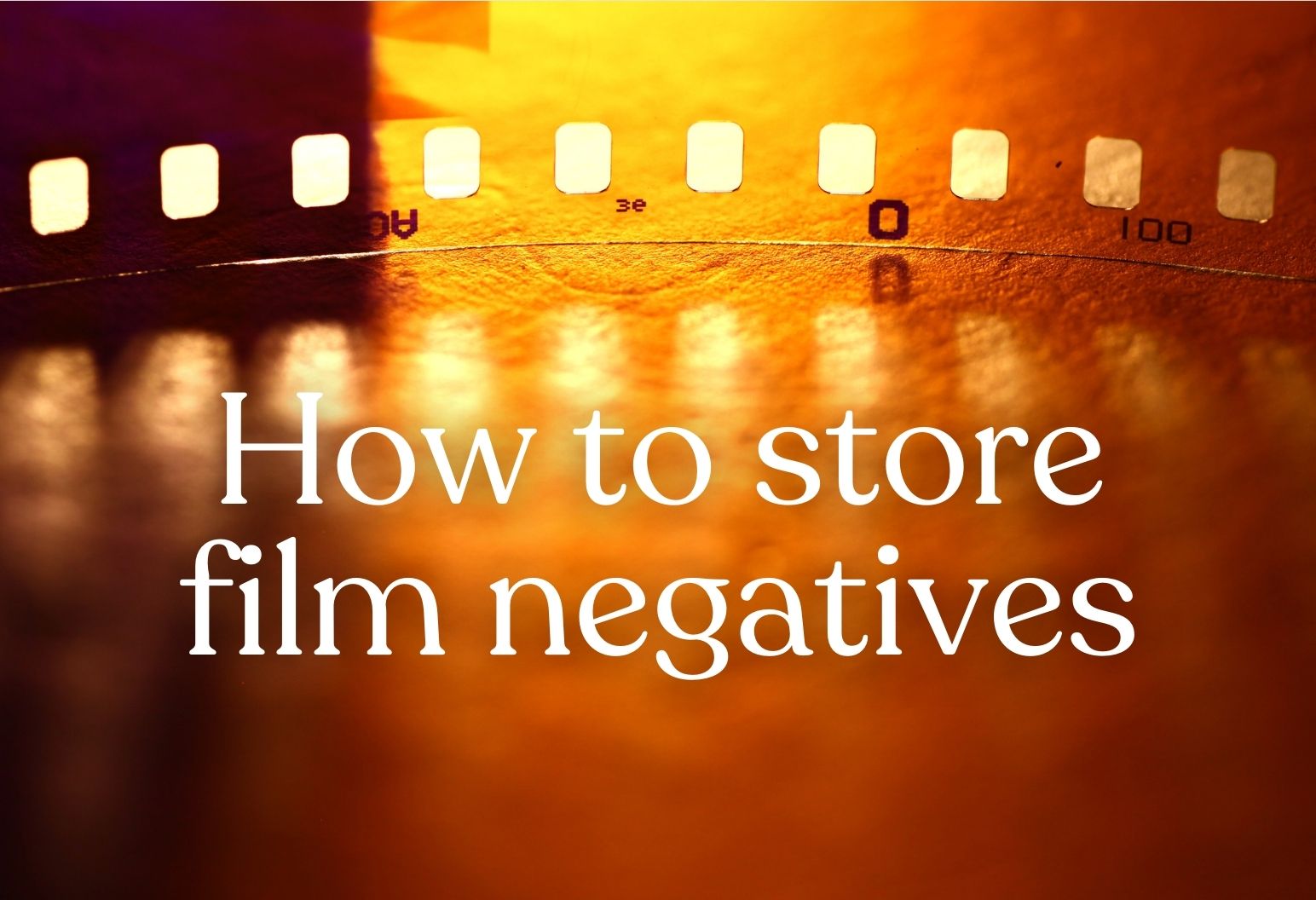 How to Store Film Negatives | EverPresent