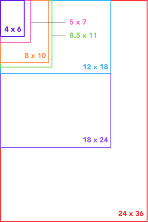 Standard Photo Sizes & Dimensions Explained | EverPresent