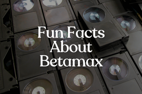 What Is Betamax? A Guide To The Betamax Tape | EverPresent