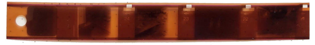 What Are Film Negatives? A Guide | EverPresent