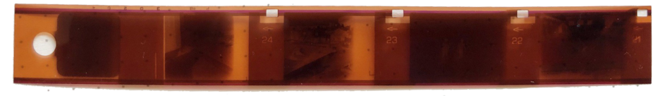 What Are Film Negatives? A Guide | EverPresent