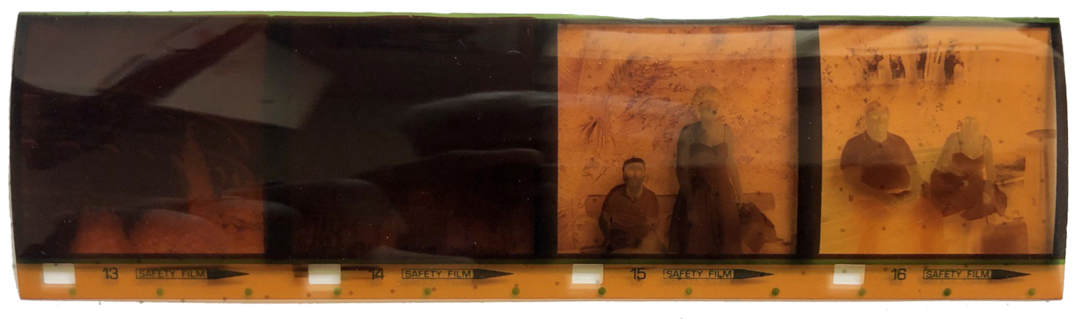 What Are Film Negatives? A Guide | EverPresent