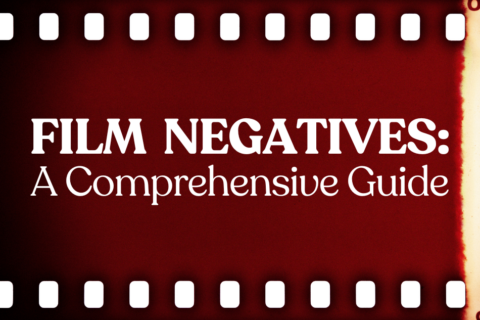 What Are Film Negatives? A Guide | EverPresent