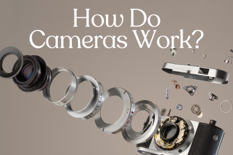How Do Cameras Work? | EverPresent