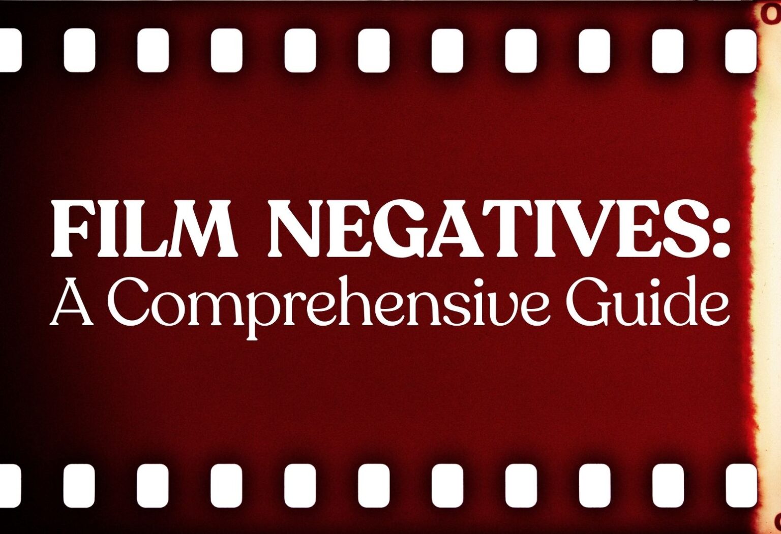 What Are Film Negatives? A Guide | EverPresent