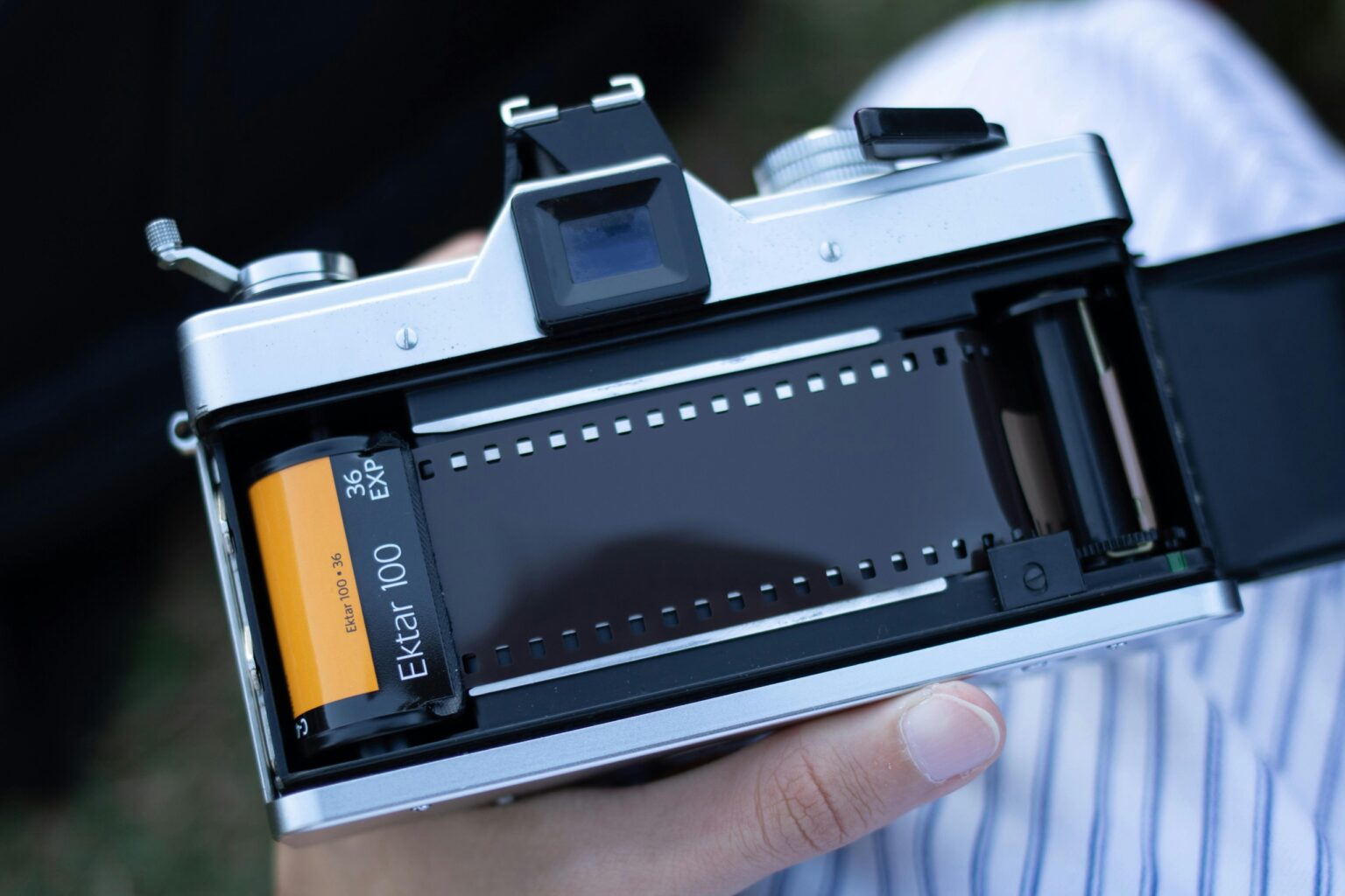 What's the difference between analog and digital cameras? | EverPresent