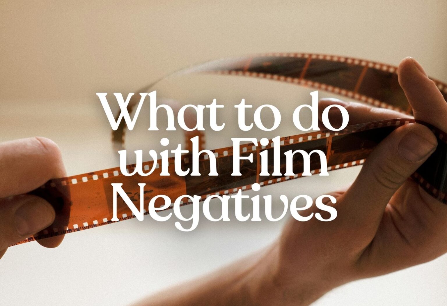 What To Do With Film Negatives | EverPresent