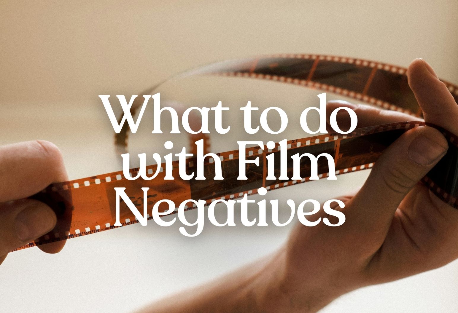 What To Do With Film Negatives | EverPresent