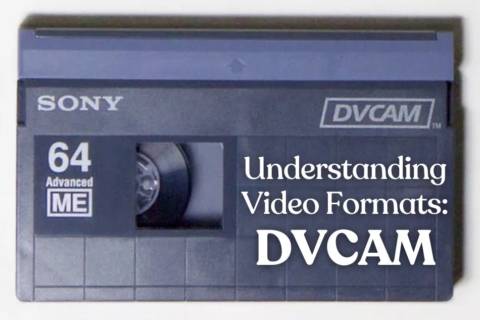 The Daily Scan | EverPresent Blog