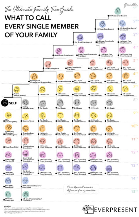 The Ultimate Family Tree Guide | EverPresent