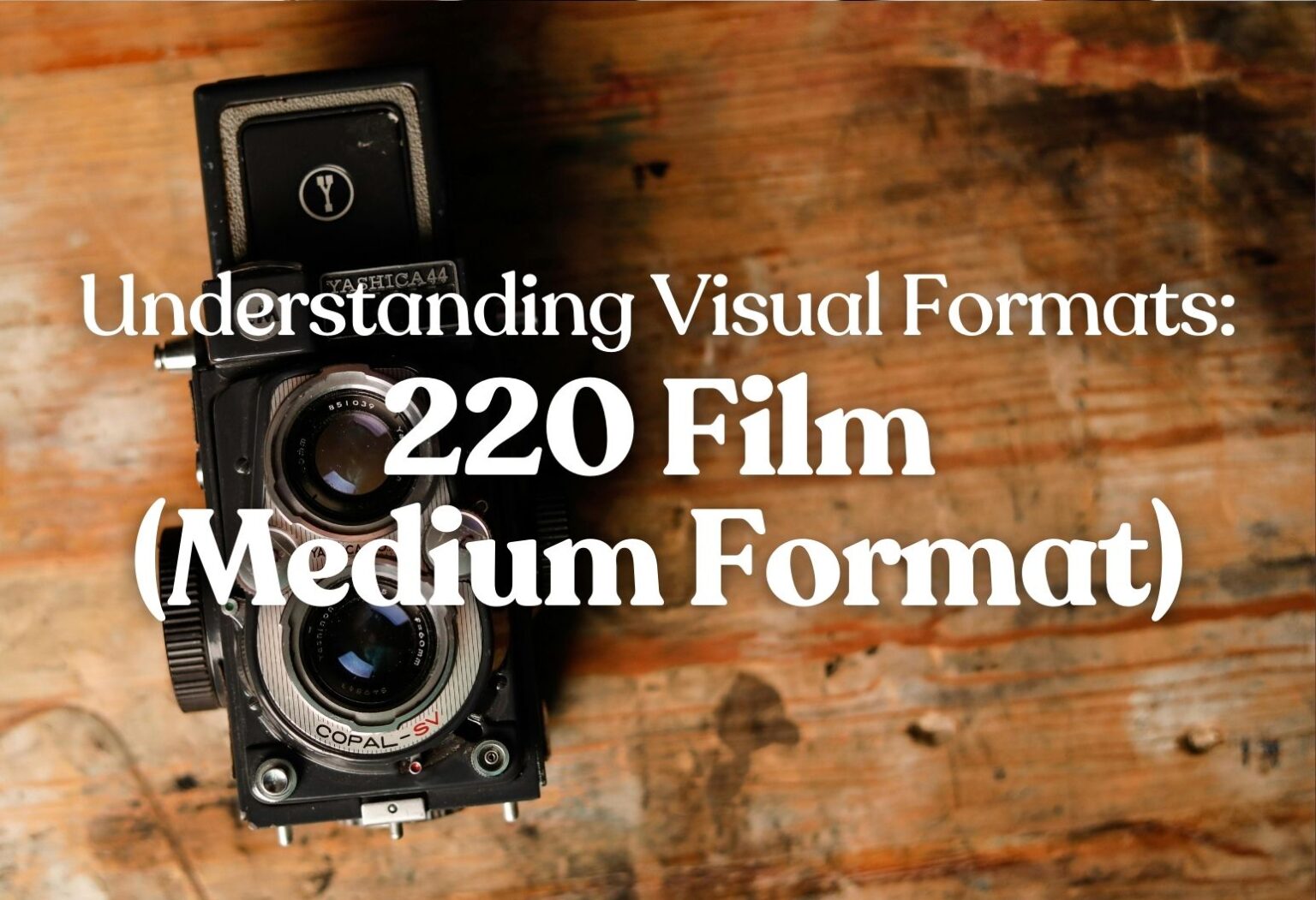 220 Film (Medium Format Film) Guide | EverPresent