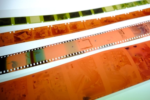 220 Film (Medium Format Film) Guide | EverPresent