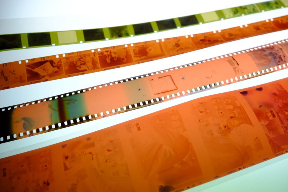 220 Film (Medium Format Film) Guide | EverPresent