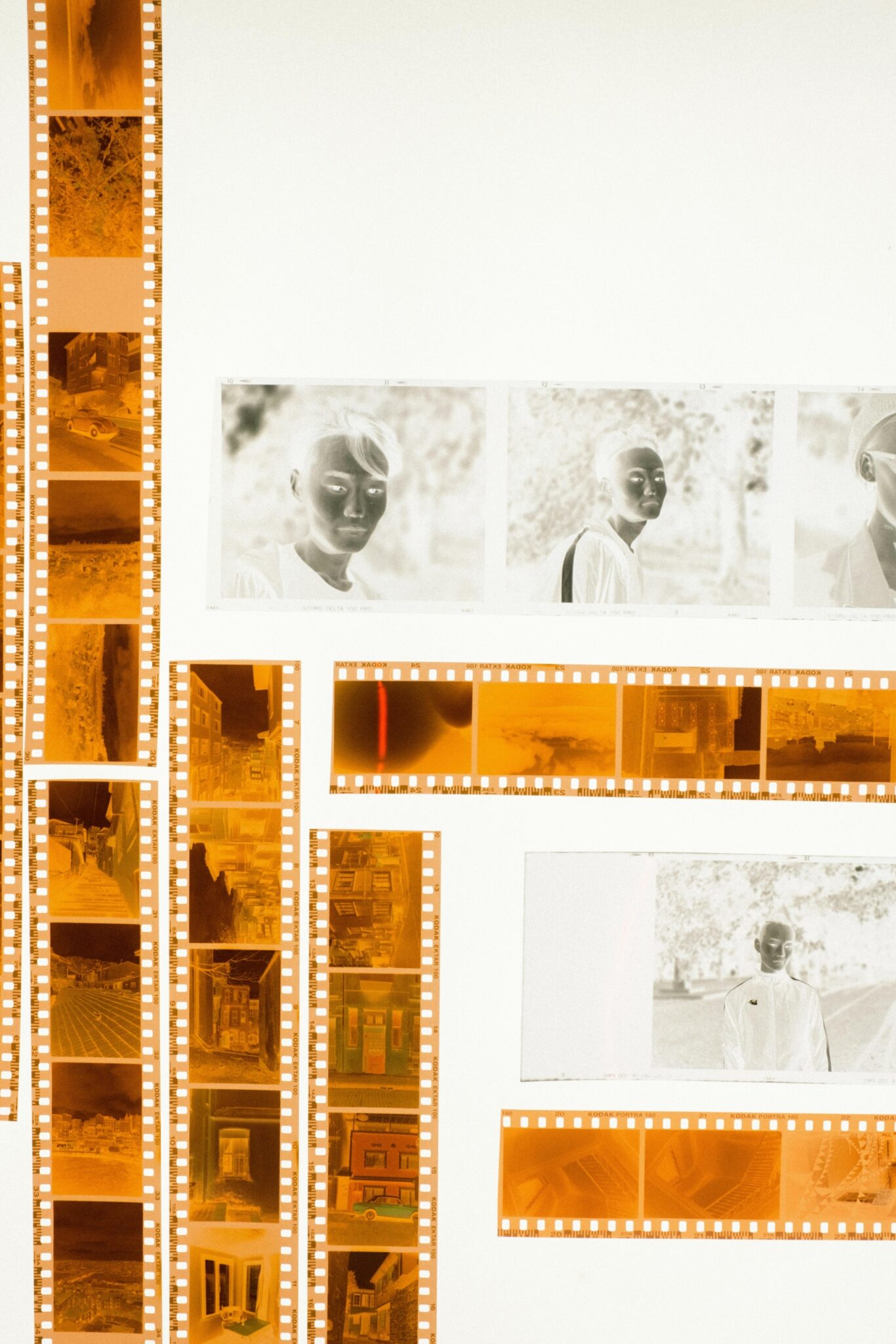 120 Film (Medium Format Film) Guide | EverPresent