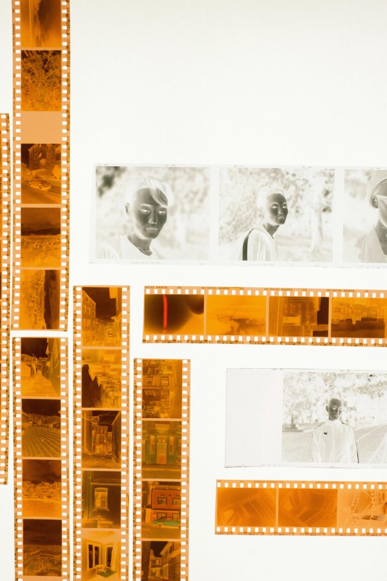 120 Film (Medium Format Film) Guide | EverPresent