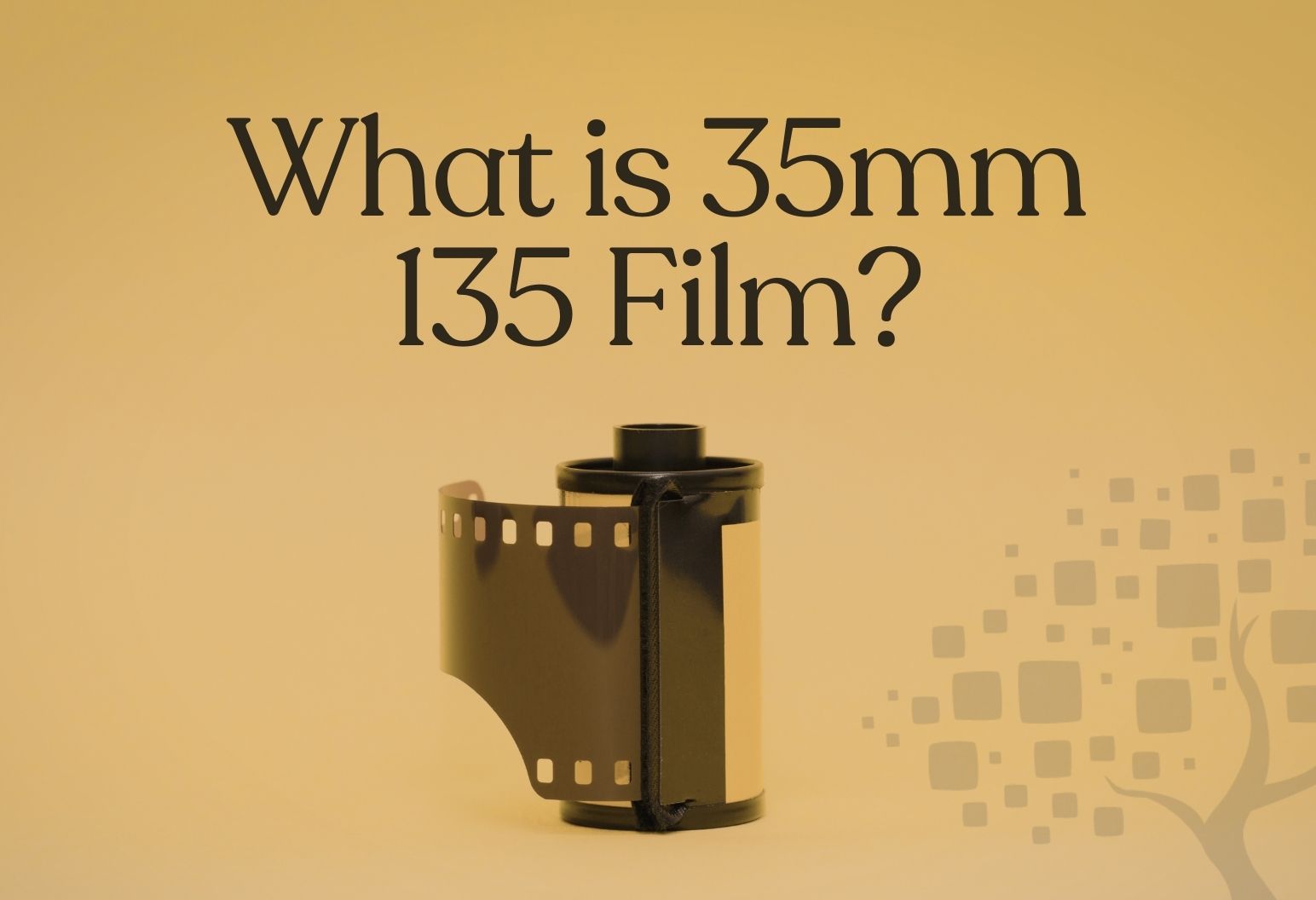 What Is 35mm 135 Film? | EverPresent