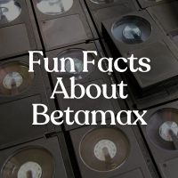 The Best Photo, Video, and Audio Conversion Company | EverPresent